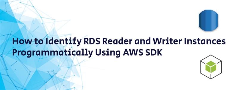 How to Identify RDS Reader and Writer Instances Programmatically Using ...